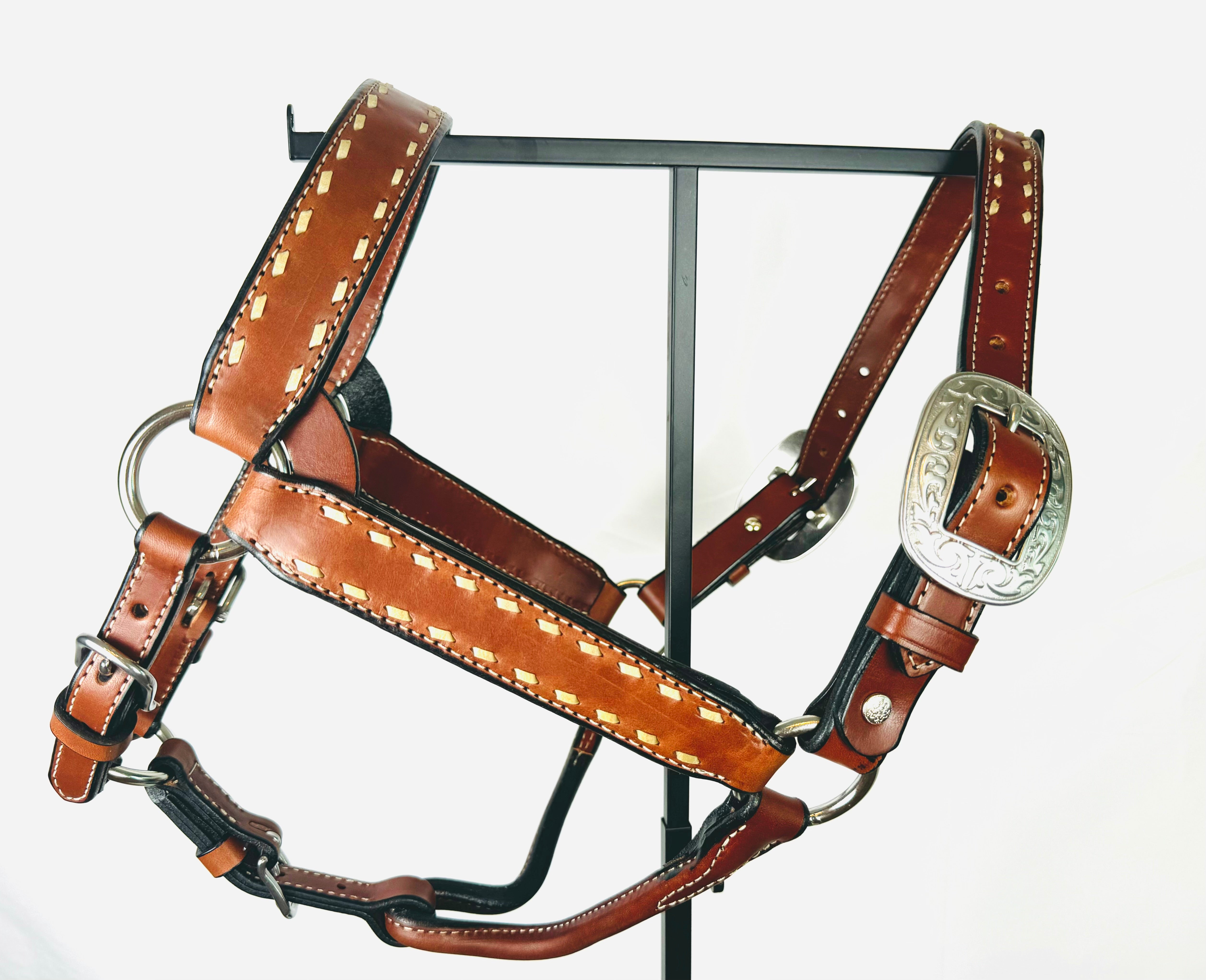 Halters, Leads, Longe Lines