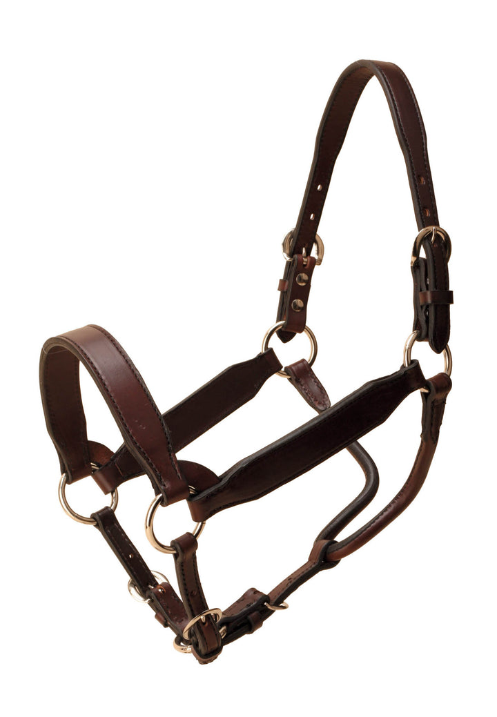 Halters, Leads, Longe Lines