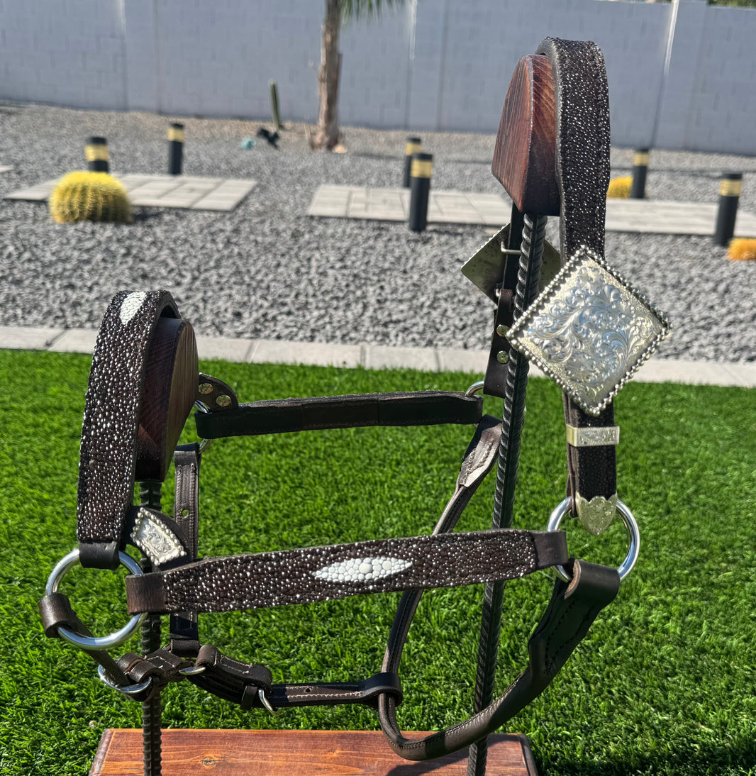 Halters, Leads, Longe Lines