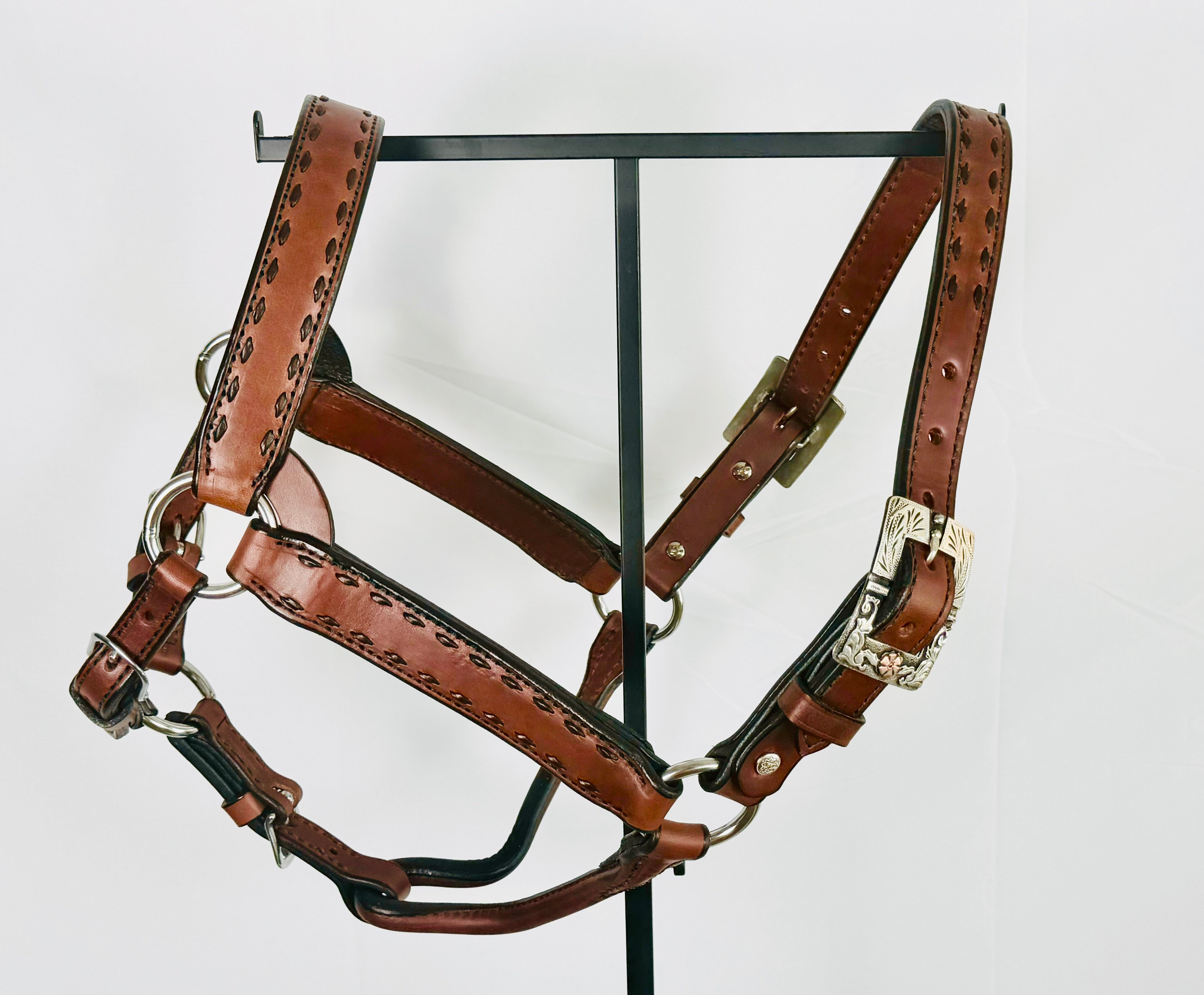 Halters, Leads, Longe Lines