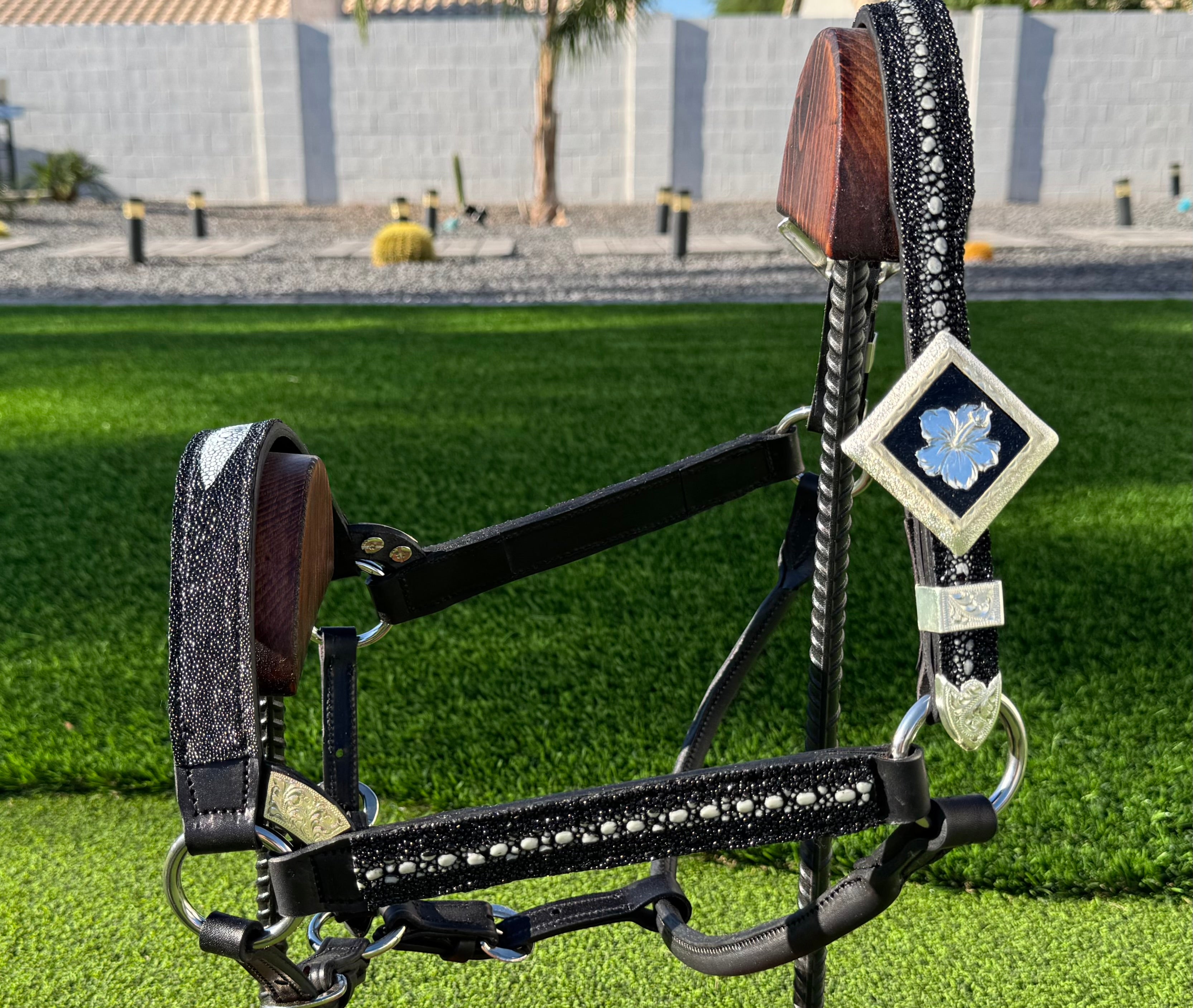 Halters, Leads, Longe Lines