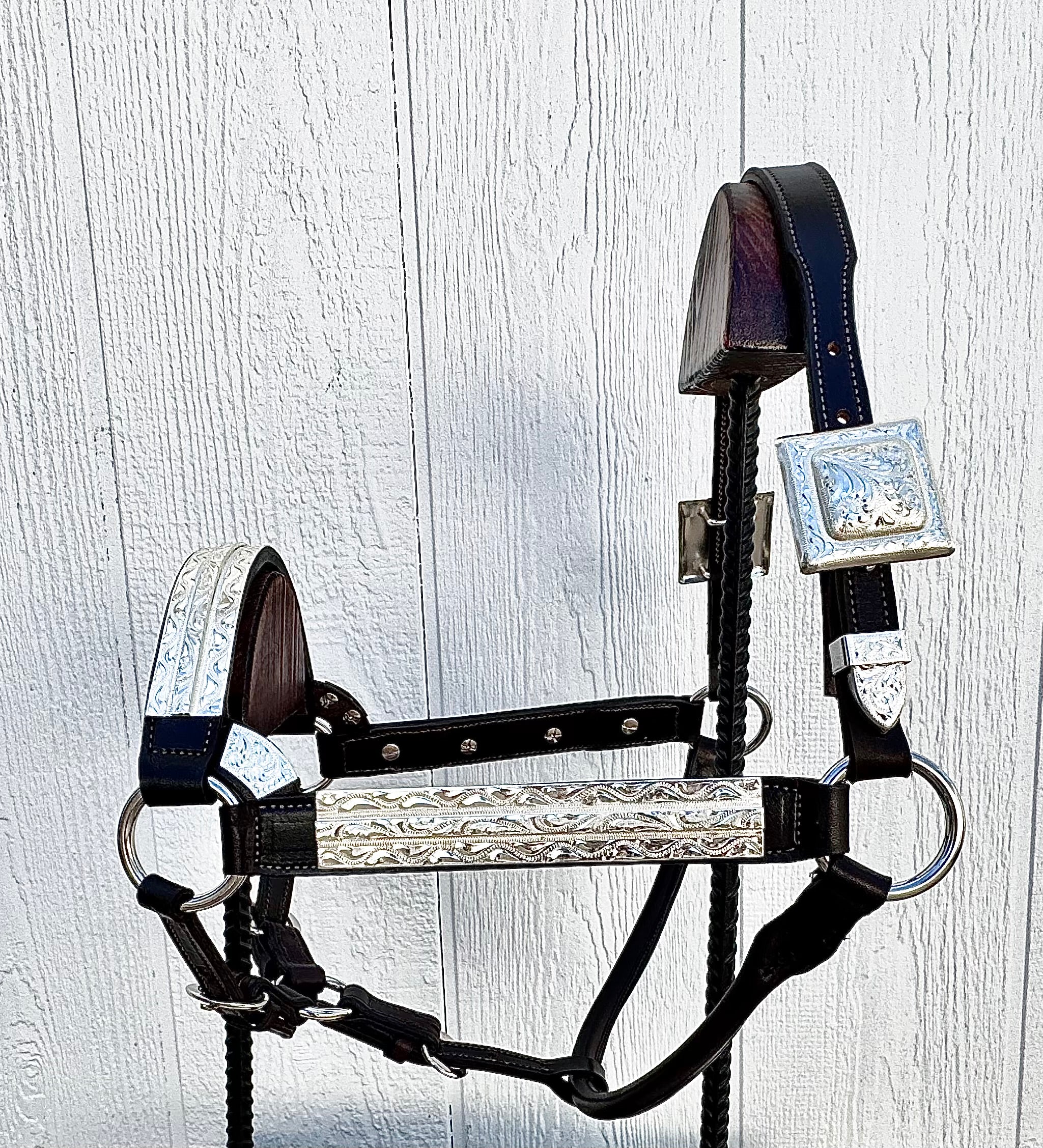 Halters, Leads, Longe Lines