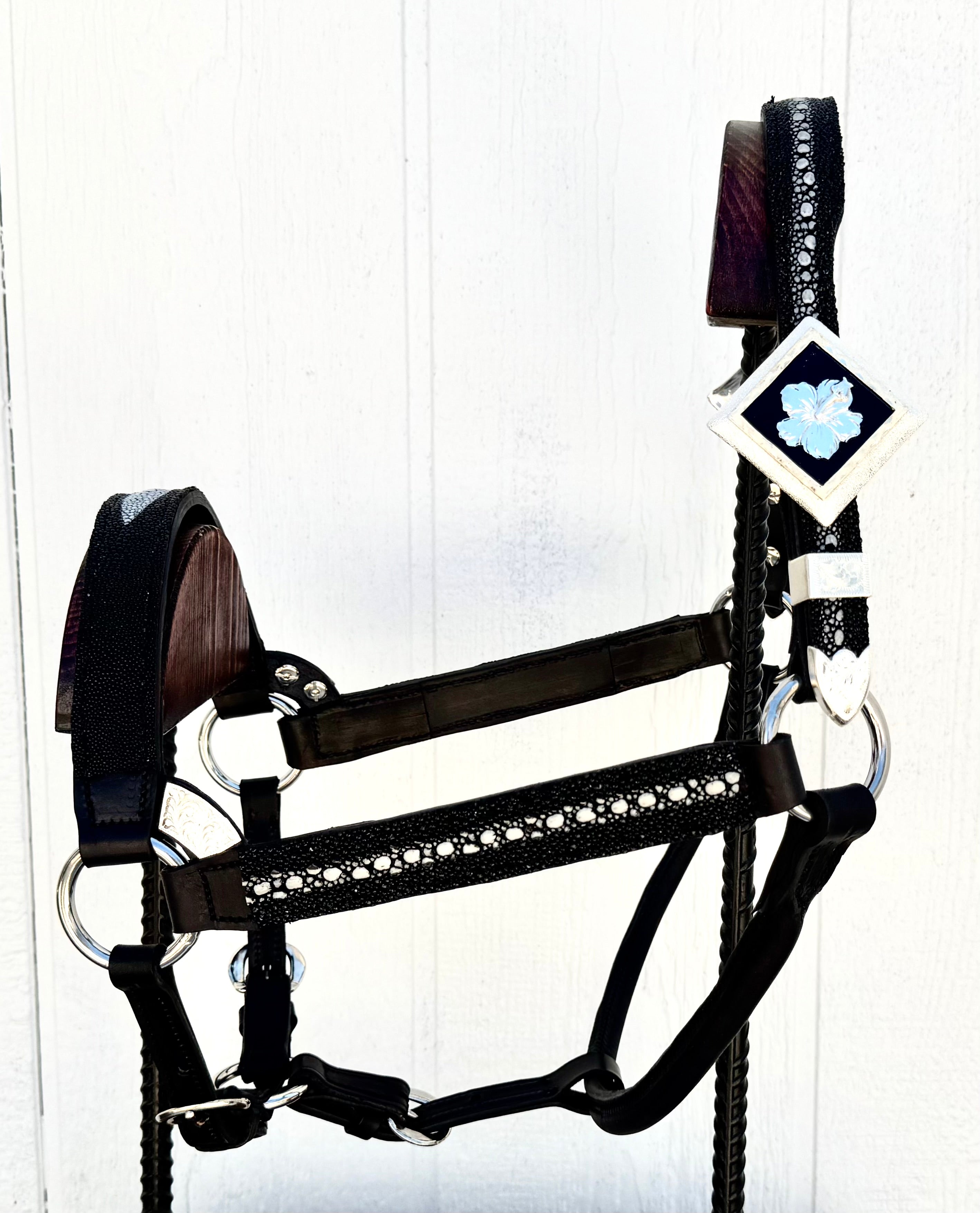 Halters, Leads, Longe Lines