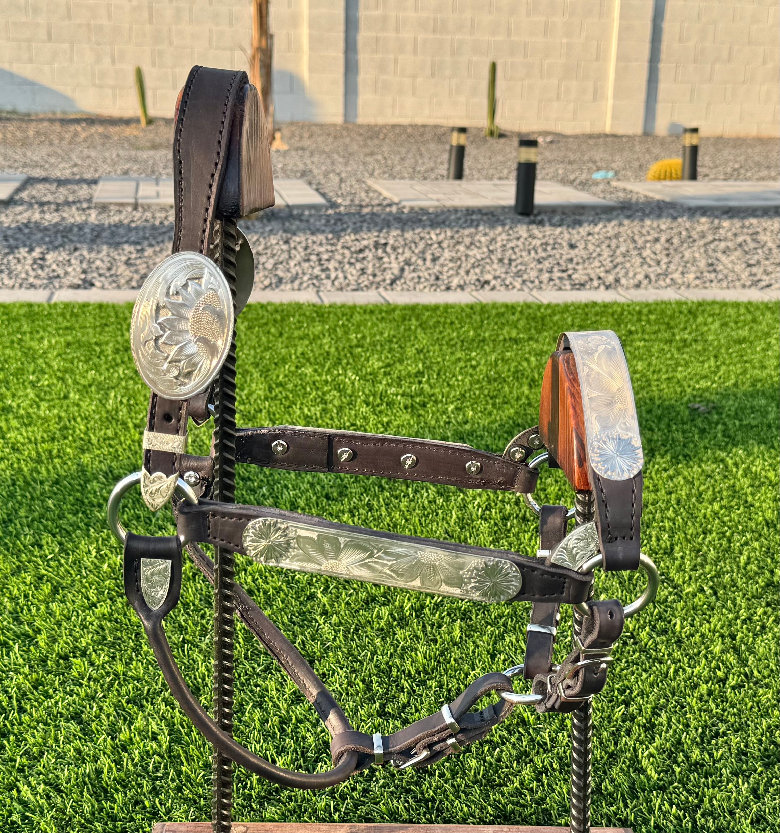 Halters, Leads, Longe Lines