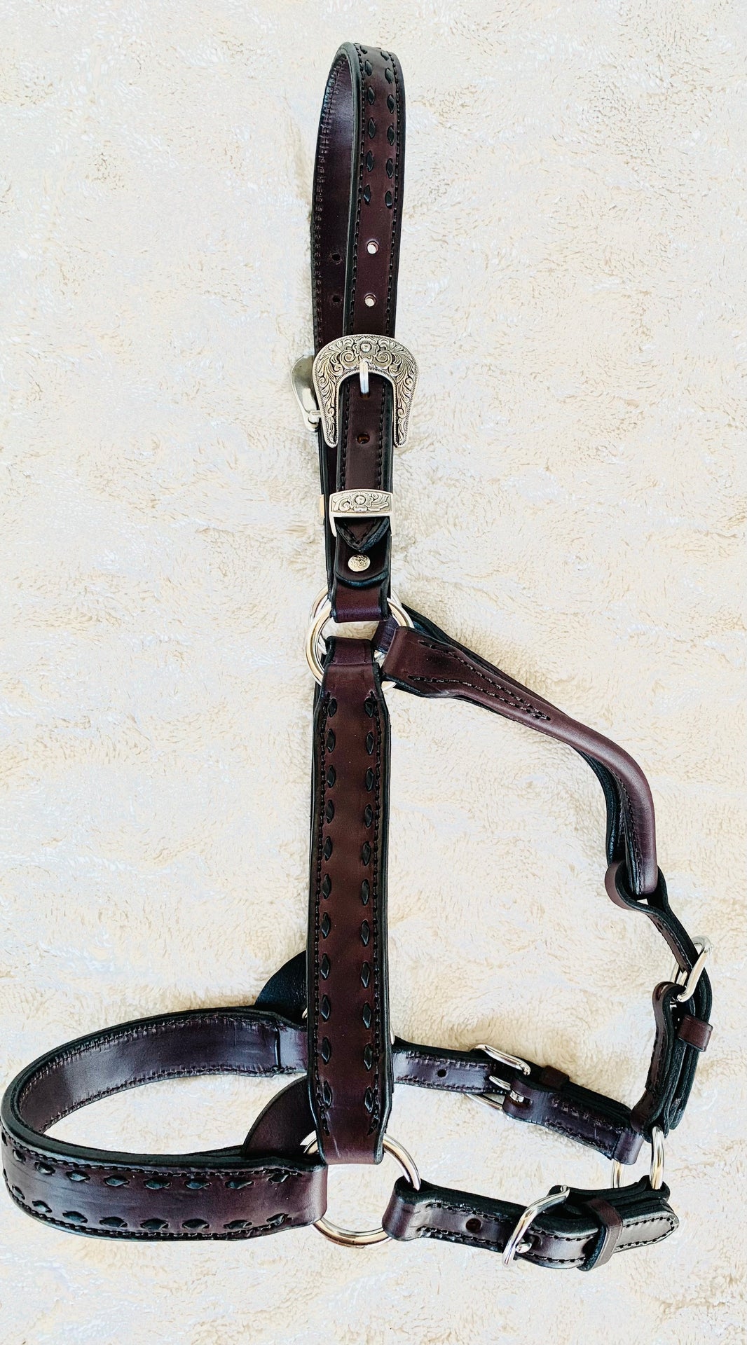 Halters, Leads, Longe Lines