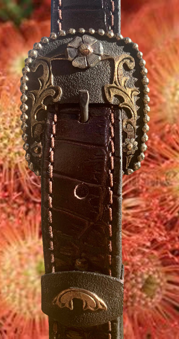 Halters, Leads, Longe Lines